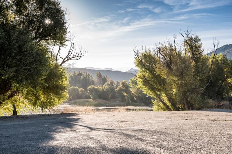 California Asphalt Road: Bathed in Sunlight and Surrounded by Nature ...