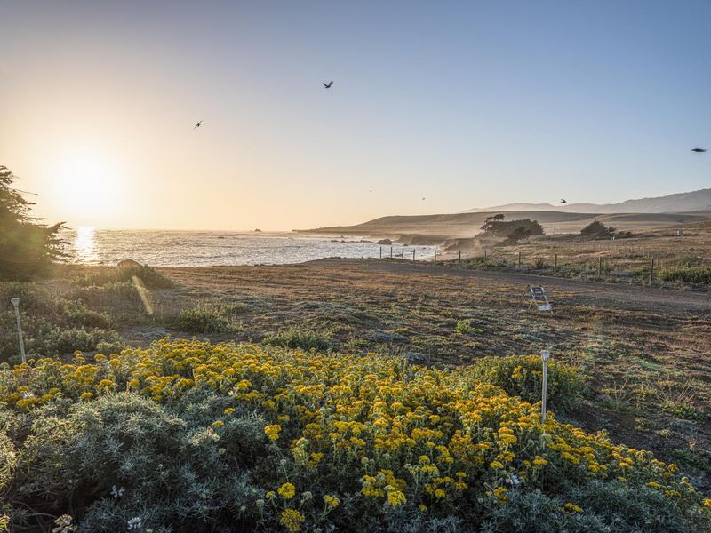 California Coast at Dawn: Clear Sky and Stunning Views HDRi Maps and ...