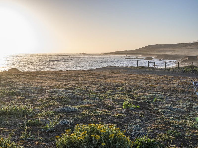 California Coastal Dawn: A Sunny Beach Overlooking the Ocean HDRi Maps ...