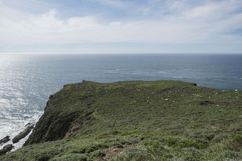 Coastal Landscape in California, USA HDRi Maps and Backplates
