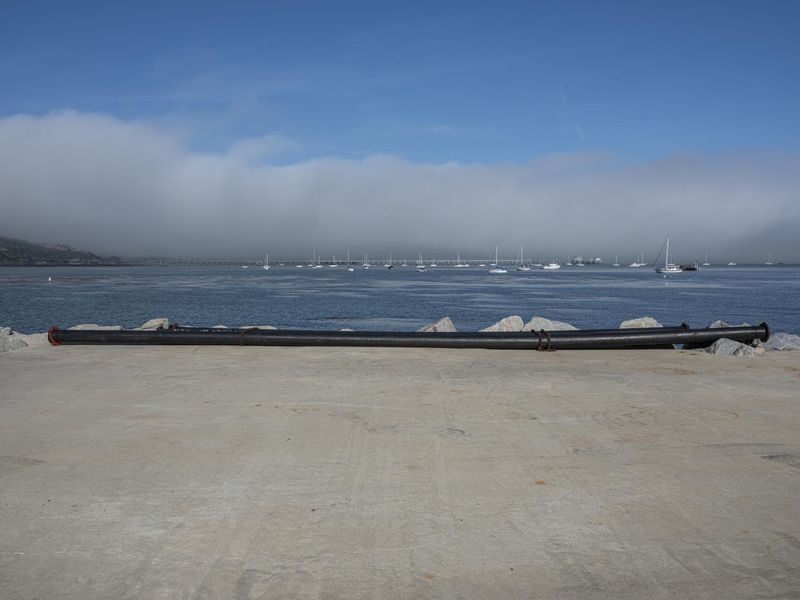 California Coastal Scene: Logs on Foggy Shore HDRi Maps and Backplates