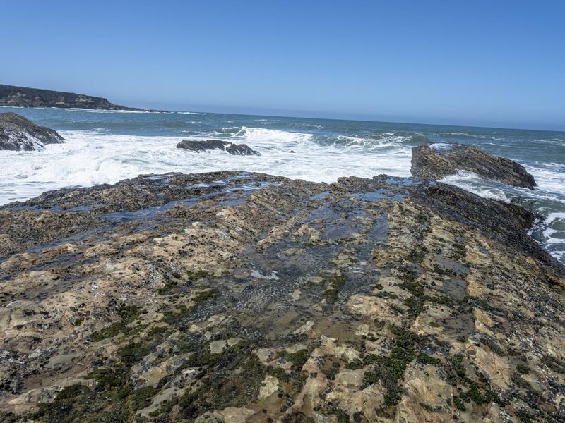 California Coastal Waters: A View of the Ocean and Beach HDRi Maps and ...