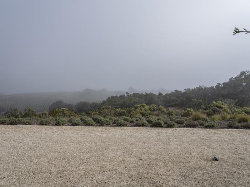 California Dawn in a Foggy Landscape - HDRi Maps and Backplates