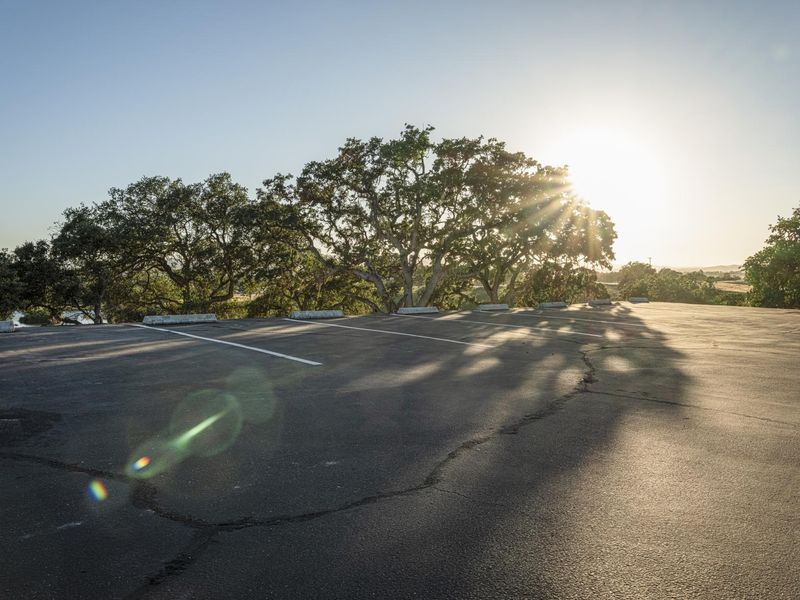 California Dawn: Landscape in an Open Space HDRi Maps and Backplates