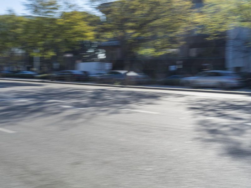 California Daytime: A Serene Landscape with Trees HDRi Maps and Backplates