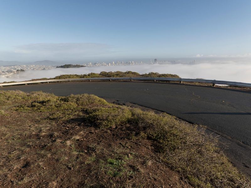 California Daytime: Road with Asphalt Surface HDRi Maps and Backplates