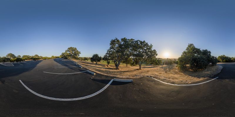 California Intersection: Trees and Road HDRi Maps and Backplates