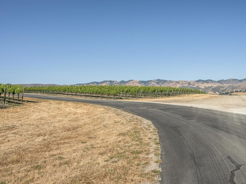 California Landscape: Asphalt Road and Grass HDRi Maps and Backplates