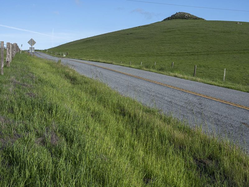 California Landscape: Nature's Greenery HDRi Maps and Backplates
