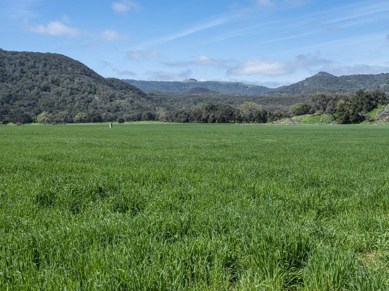 California Landscape: Nature's Open Space HDRi Maps and Backplates