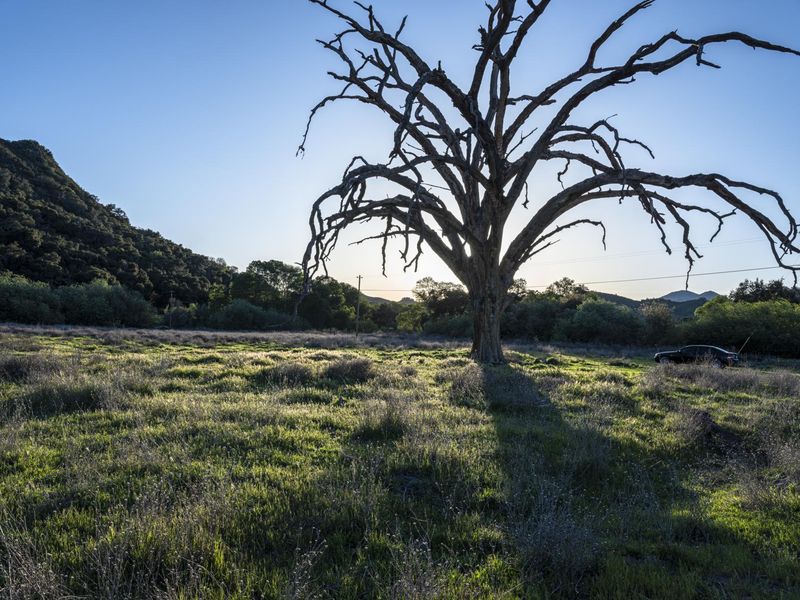 California Landscape: Nature Bathed in Sunlight - HDRi Maps and Backplates