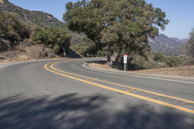 California Mountain Pass in Nature with Yellow Foliage - HDRi Maps and ...