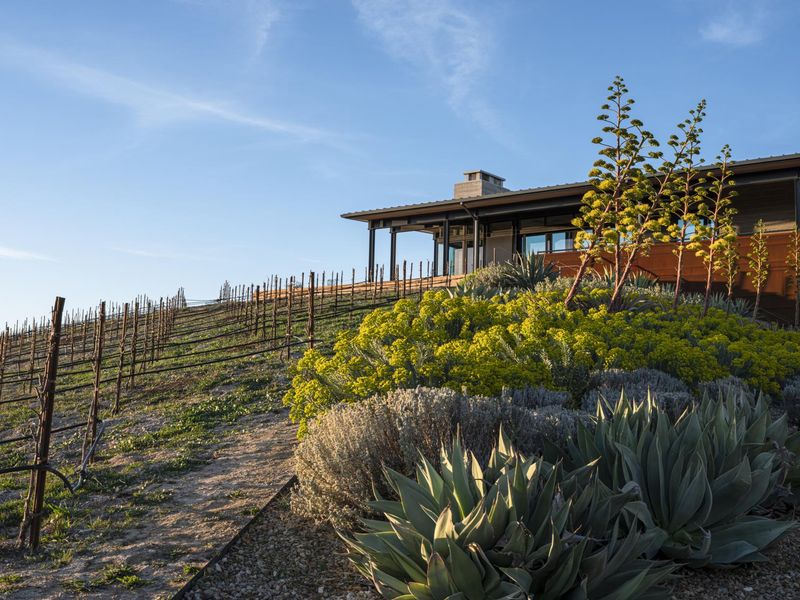 California Residential House in Nature Landscape HDRi Maps and Backplates