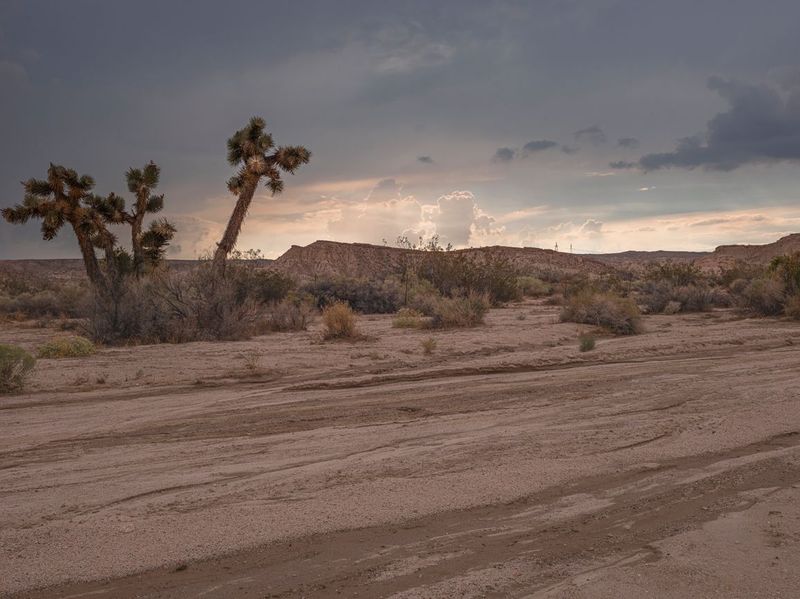 California River Valley Landscape under a Cloudy Sky HDRi Maps and ...