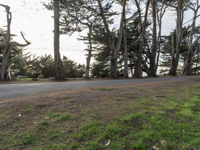 California Road: Asphalt Through a Residential Area HDRi Maps and ...