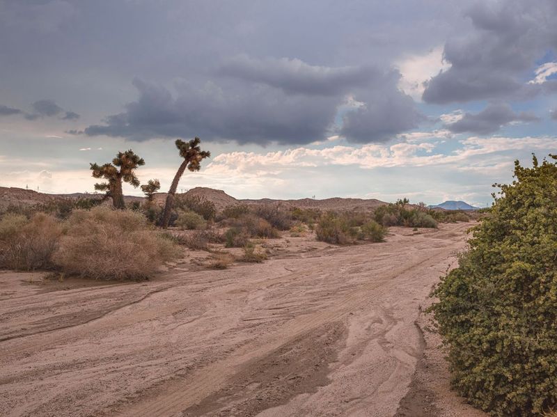 California's Rugged Landscape: A Grey Sky and Harsh Environment HDRi ...