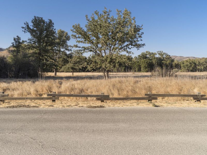 California Rural Road Through Trees and Open Fields HDRi Maps and ...