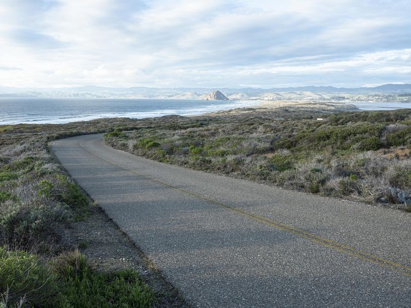 Scenic Coastal Road in California, USA HDRi Maps and Backplates