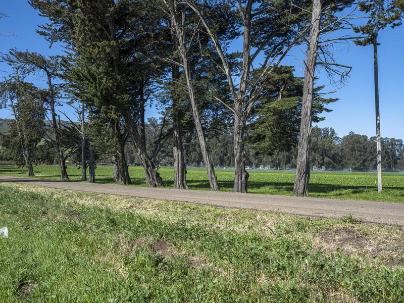 California Scenic Road - Nature Landscape HDRi Maps and Backplates