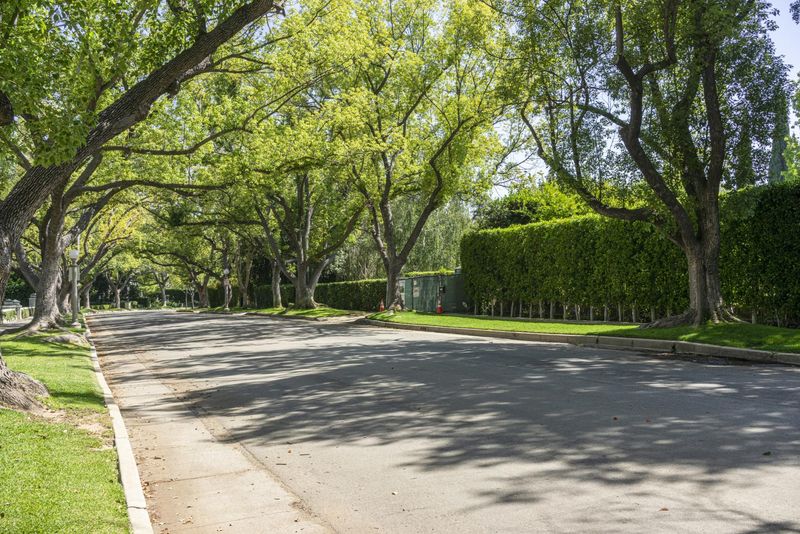 California Suburban Road with Greenery Trees HDRi Maps and Backplates