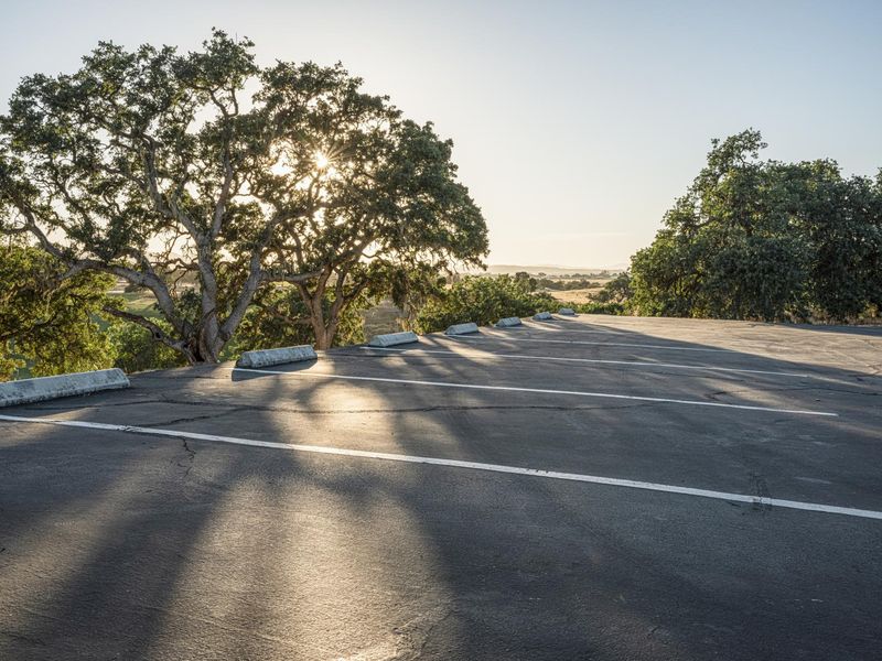 California Sunrise on Highway: Clear Sky and Beautiful Sunlight