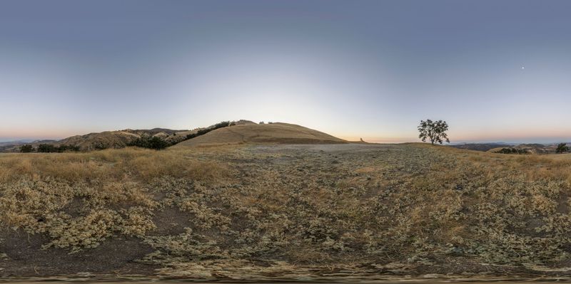 California Sunset: A Hill and Valley Full of Tall Grass HDRi Maps and ...