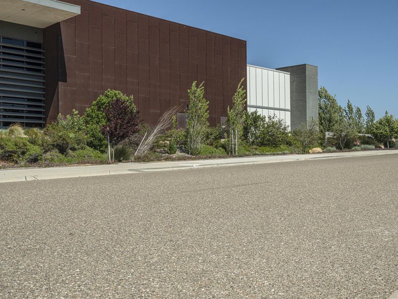 California Urban Landscape: Tree-Lined Street HDRi Maps and Backplates