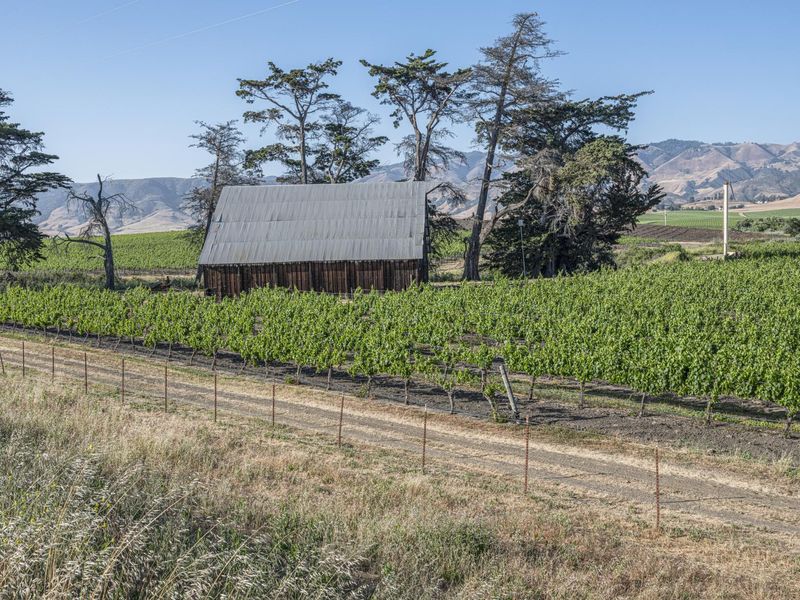 Rural Landscape in California, USA HDRi Maps and Backplates