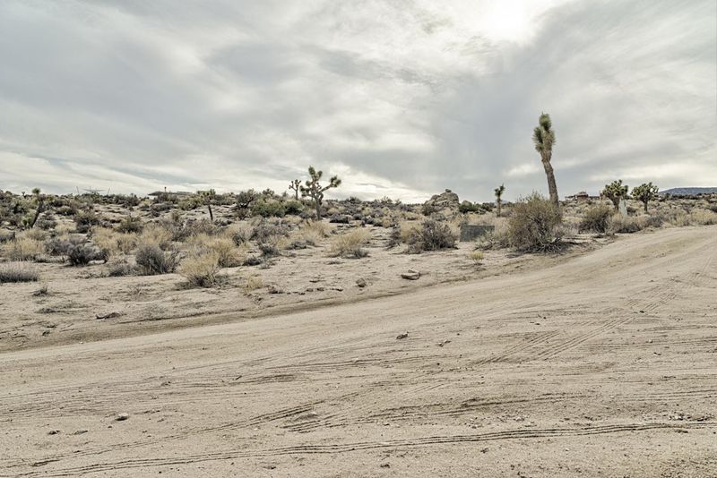 California Yucca Valley Desert Landscape HDRi Maps and Backplates