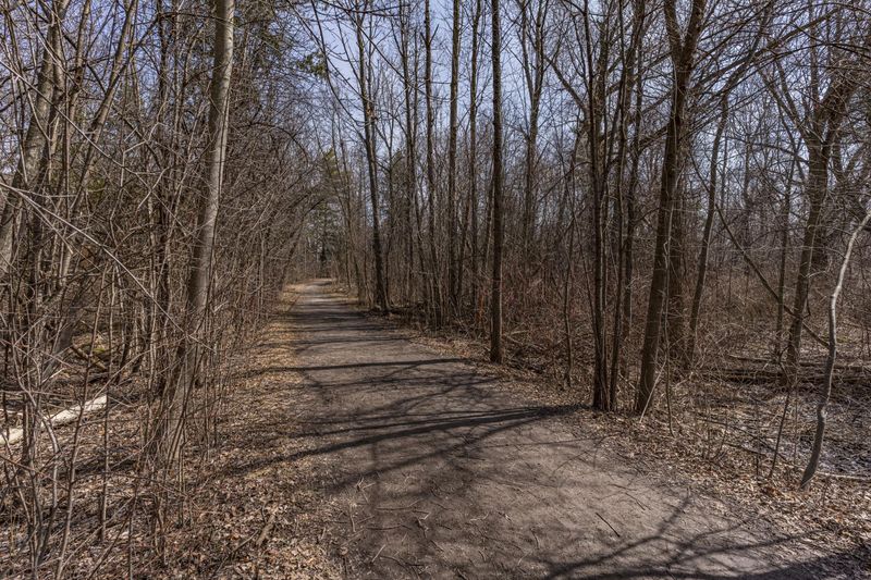 Canada Deciduous Forest with Clear Sky HDRi Maps and Backplates