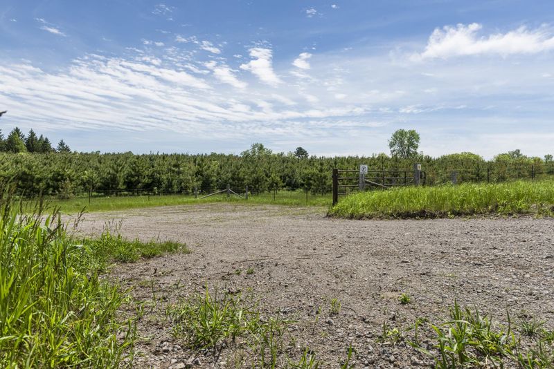 Canada: Dirt Road Through Lush Grass and Trees HDRi Maps and Backplates