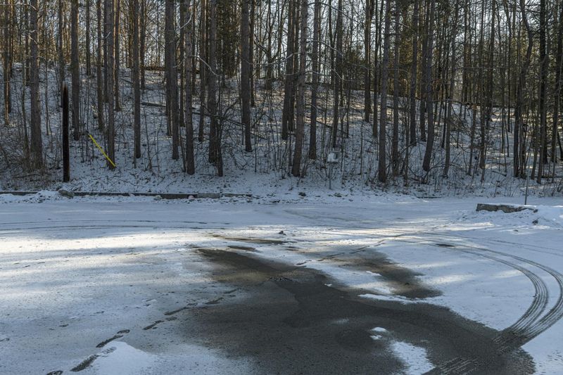Canada's Forest: Clear Sky and Recreational Activities HDRi Maps and ...