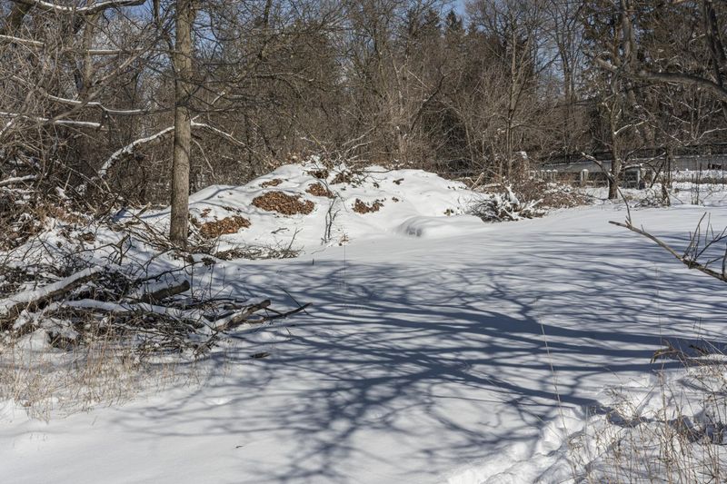 Canada Landscape in Ontario: A Clear Sky Above HDRi Maps and Backplates