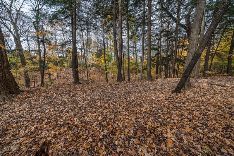 Canada's Ontario Forest: A Natural Haven HDRi Maps and Backplates