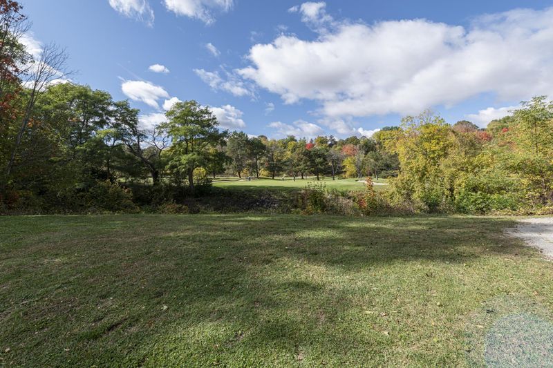Canada Ontario Landscape: A Forest in Nature HDRi Maps and Backplates