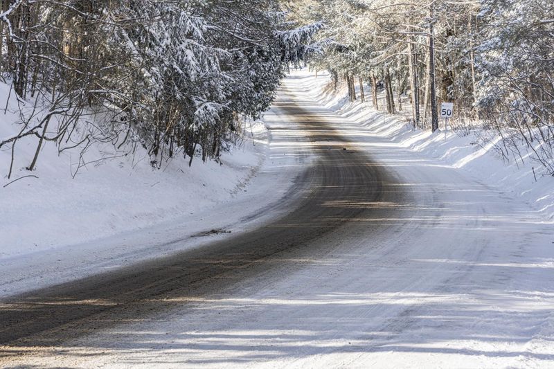 Canadian Ontario Landscape Road Through Snowy Forest HDRi Maps and ...