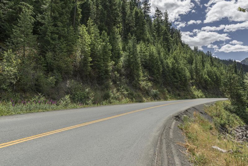 Canada Road Landscape Mountain Forest HDRi Maps and Backplates