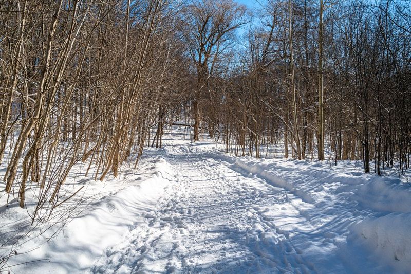 Canada Snowy Road in Rural Landscape - HDRi Maps and Backplates