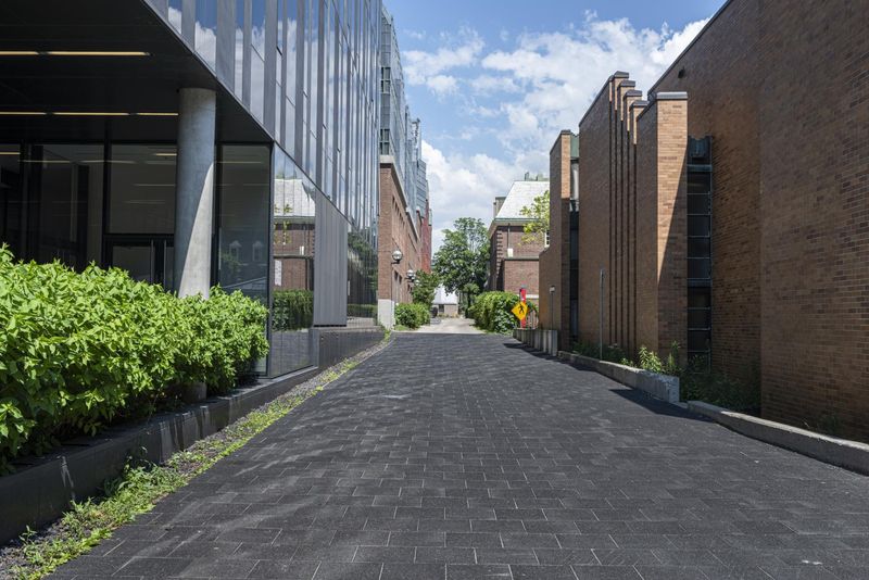 Canada Urban Design: Walkway in Residential Neighborhood HDRi Maps and ...