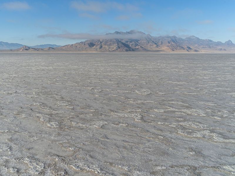 Canada's Fir Trees: A Profile Against a Winter Sky HDRi Maps and Backplates