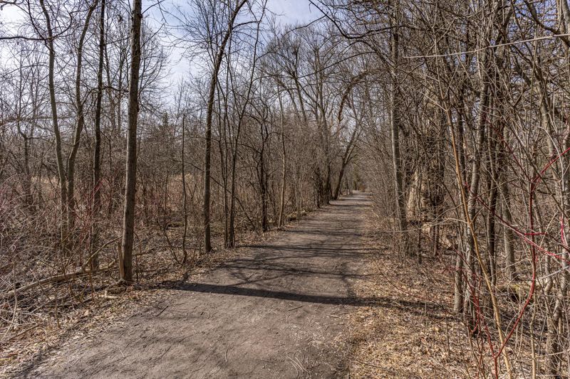 Canadian Autumn Deciduous Forest HDRi Maps and Backplates