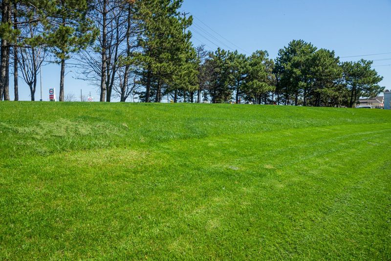Canadian Countryside: Exploring Open Spaces and Lush Grass HDRi Maps ...