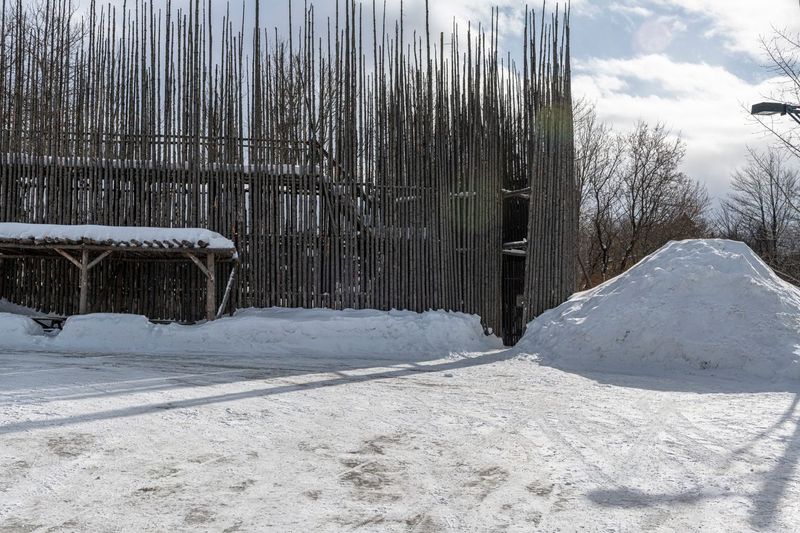 Canadian Countryside in Winter: A Snowy Scene HDRi Maps and Backplates