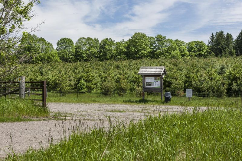 Canadian Dirt Road: Through Pasture and Field - HDRi Maps and Backplates