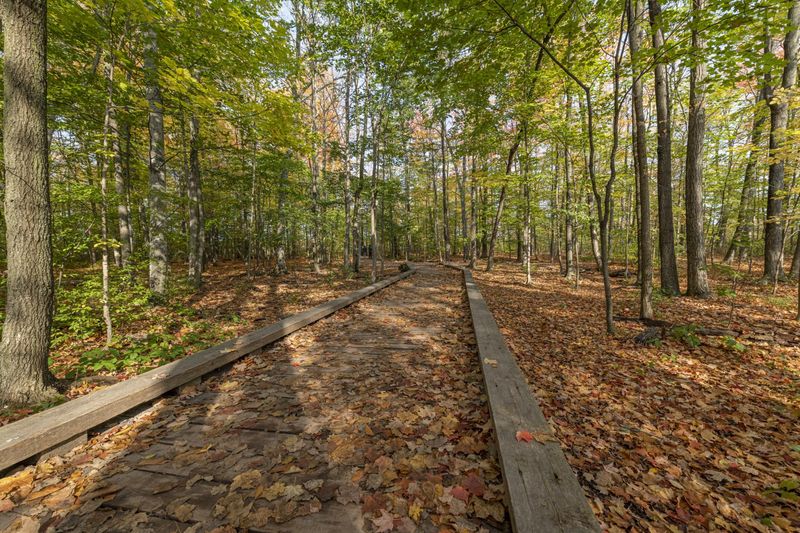 Canadian Forest in Autumn: A Lush Landscape - HDRi Maps and Backplates