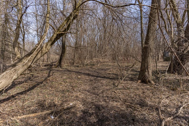 Canadian Forest: A Haven of Deciduous Trees and Nature HDRi Maps and ...