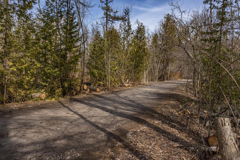 Canadian Forest near Toronto: Clear Sky and Vibrant Colors HDRi Maps ...