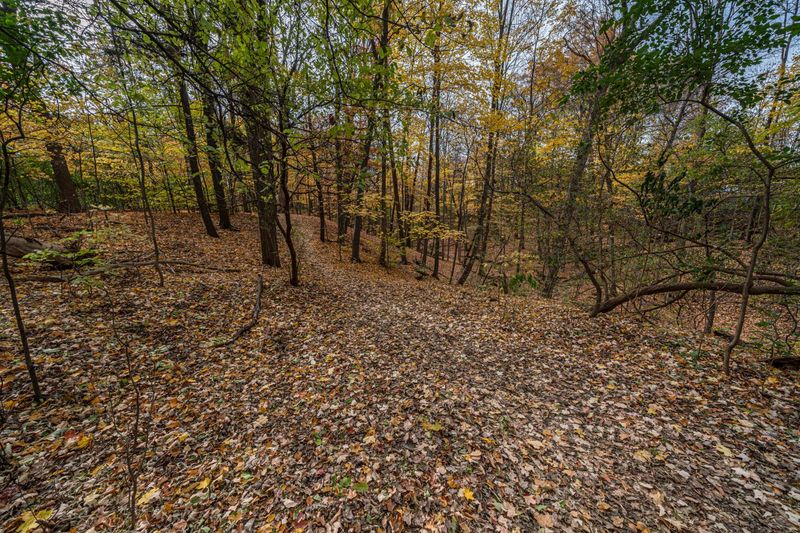 Canadian Landscape: Dirt Road in Ontario HDRi Maps and Backplates