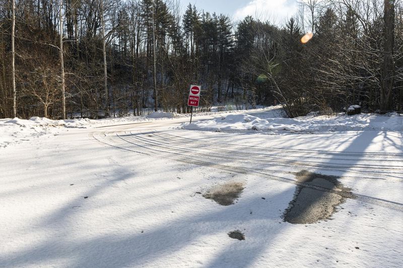Canadian Landscape in Toronto Forest - HDRi Maps and Backplates
