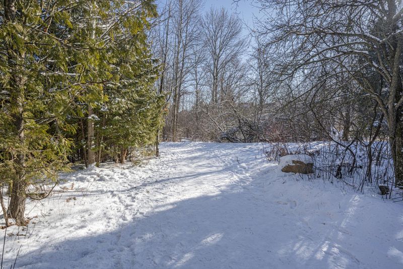 Canadian Nature: Ontario Landscape and Forest HDRi Maps and Backplates
